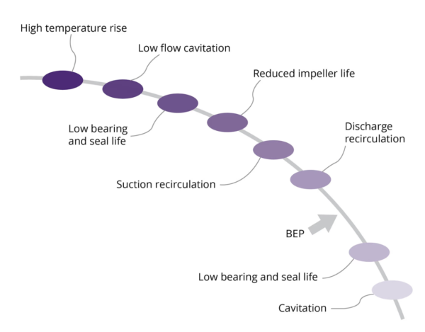 How to read a pump curve | Castle Pumps