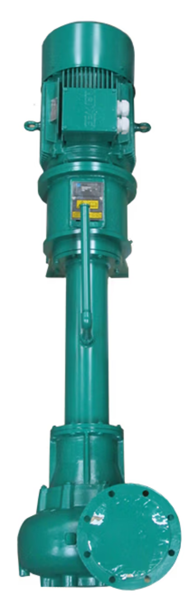 Vertical Immersion Pump Guide & Vertical Shaft Pump… | Castle Pumps